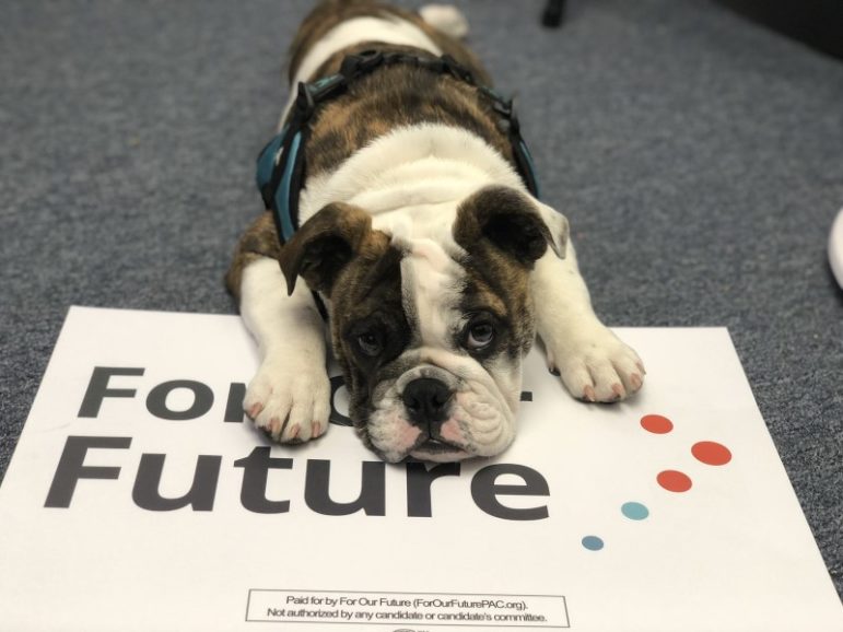 Home - For Our Future Action Fund: PAC